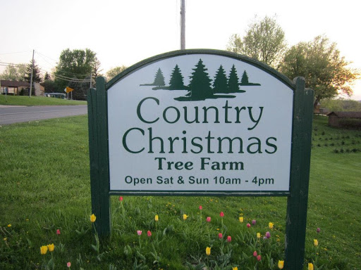 Country Christmas Tree Farm - Outdoor Service Expert at 1290 IL-35 ...