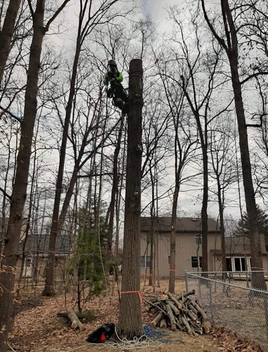 Goose Creek Tree Farm - Outdoor Service Expert at 1774 Divine Hwy ...