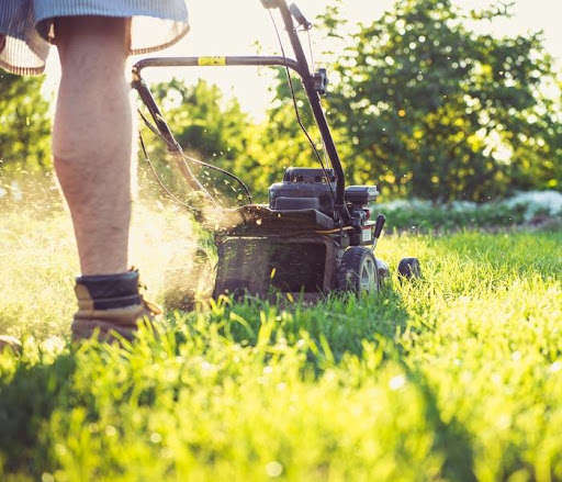 Duckwall'S Mower Repair - Outdoor Service Expert at 469 N Thomas Rd ...