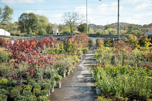 Bates Nursery and Garden Center - Outdoor Service Expert at 3810 Whites ...