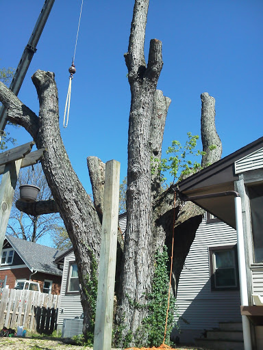 Fowler Forestry Tree Service - Outdoor Service Expert at 4000 ...