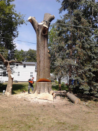 Craft Tree & Land Clearing - Outdoor Service Expert at 1360 Plank Rd ...