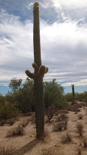 Domres Grading Inc - Outdoor Service Expert at 7002 E Pinnacle Peak Rd ...